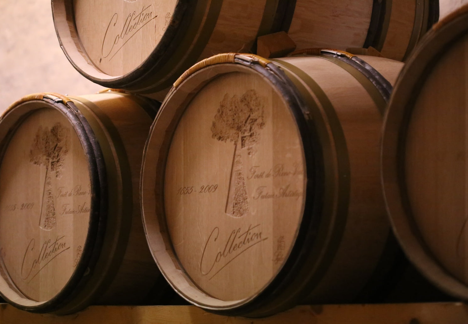 Achat de Grands Vins & Haut-Médoc en ligne - Vignobles de Larose